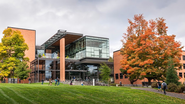 10 Best Tech MBA Programs – Is Technology a lucrative career path?